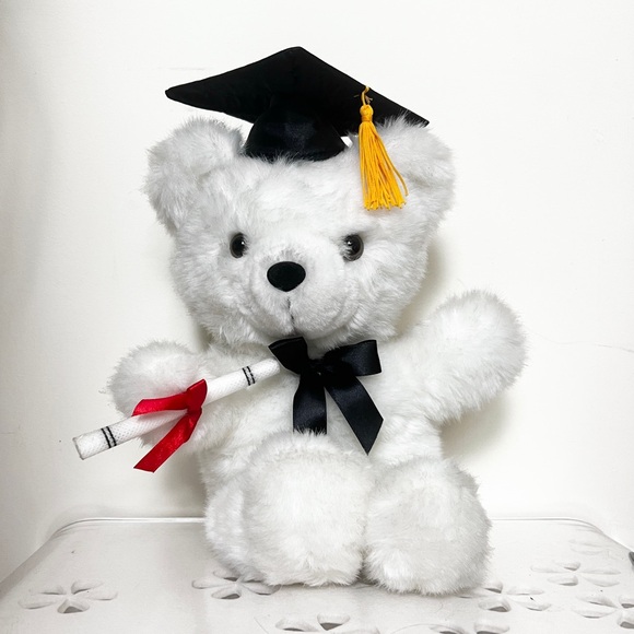 Dan Dee | Toys | Dan Dee Diploma Graduation Teddy Bear | Poshmark
